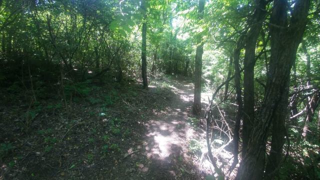 Trail – Alex Carter Art